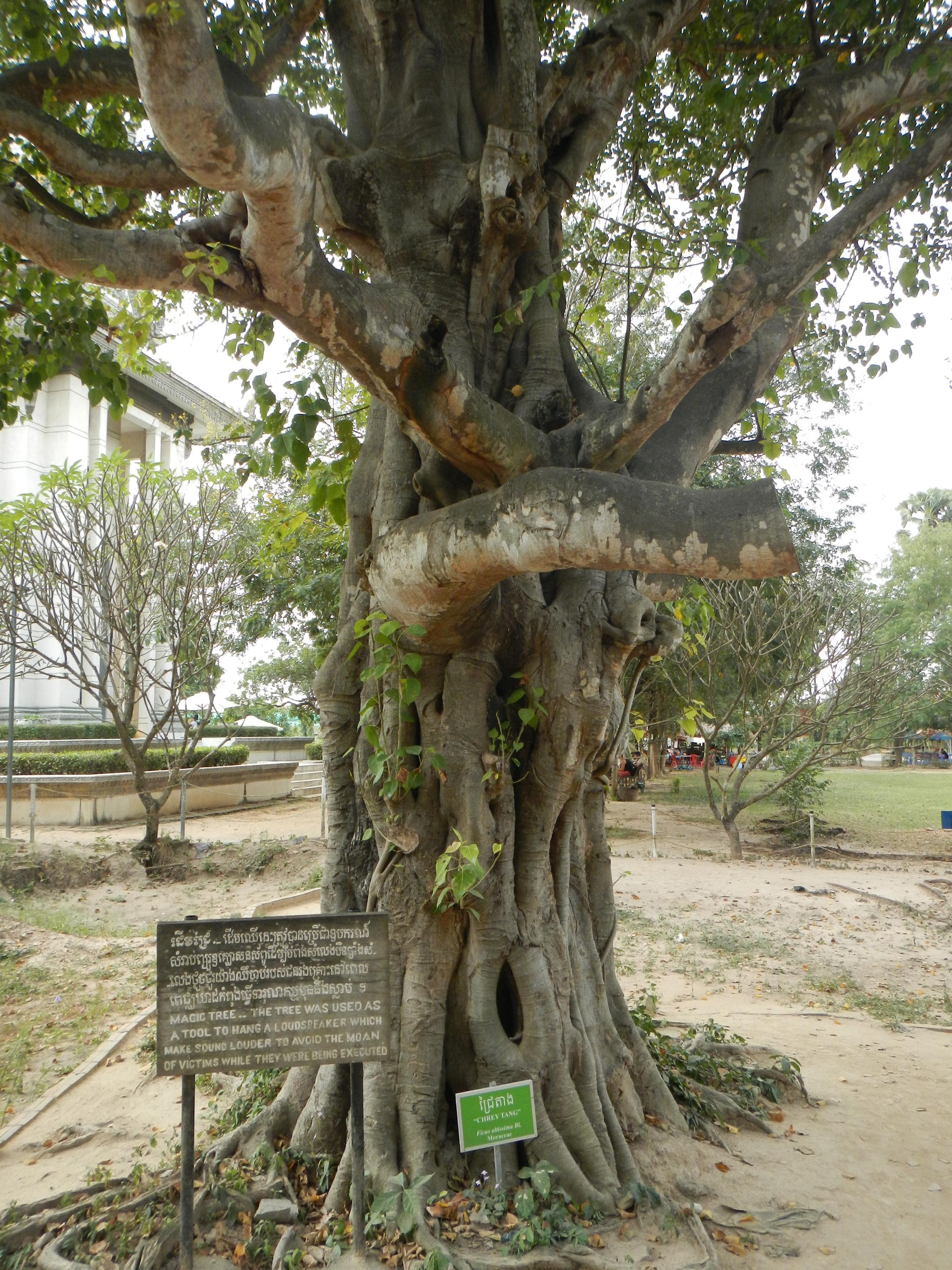 Phnom Penh: Geschiedenis van de Khmer Rouge – Kay en Tineke